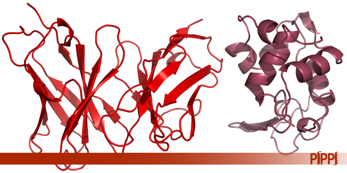Essential Knowledge of Proteins to Guide Pharmaceutical Industry - PIPPI